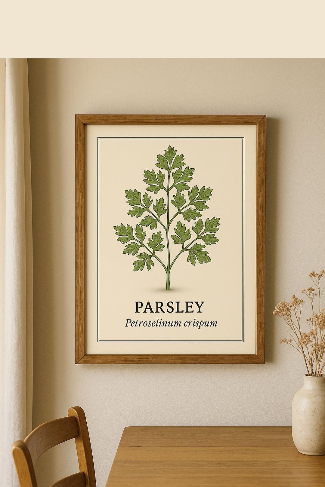 Parsley Botanical Print, Herb Illustration, Kitchen Wall Art, Instant ...
