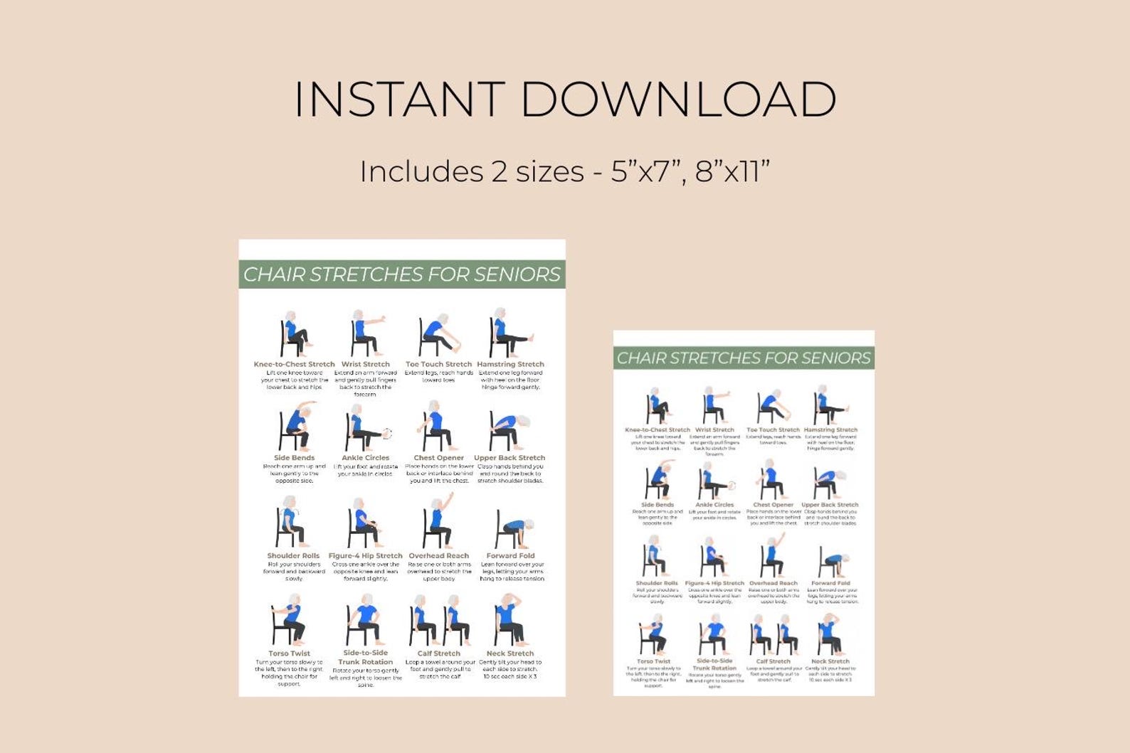 Chair Stretches for Seniors Printable | Gentle Stretching Exercises ...