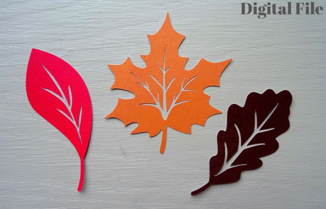 Fall Leaves SVG Cut File, JPG, DXF for Cameo Silhouette, Cricut Design ...