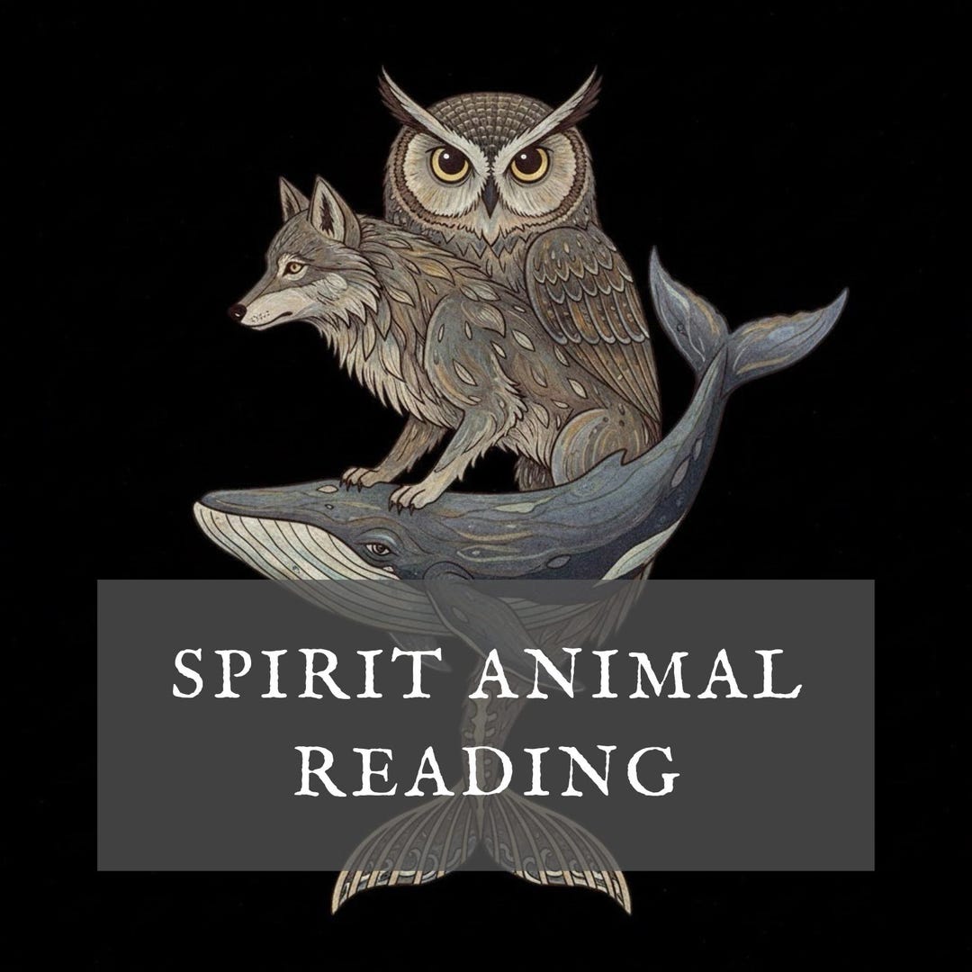 Spirit Animal Tarot Reading - Etsy