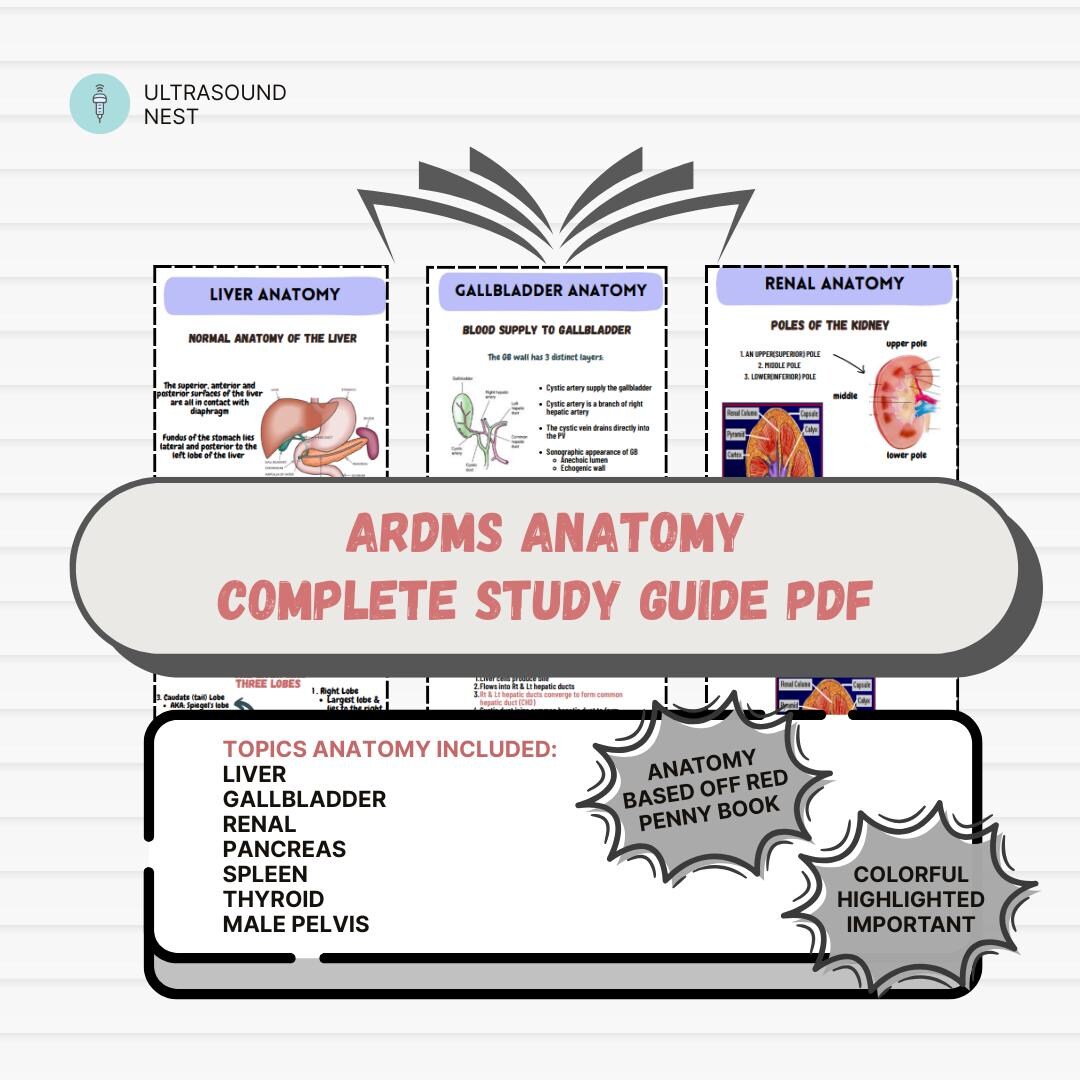 Abdomen Anatomy ARDMS Complete Study Guide Ultrasound - Etsy
