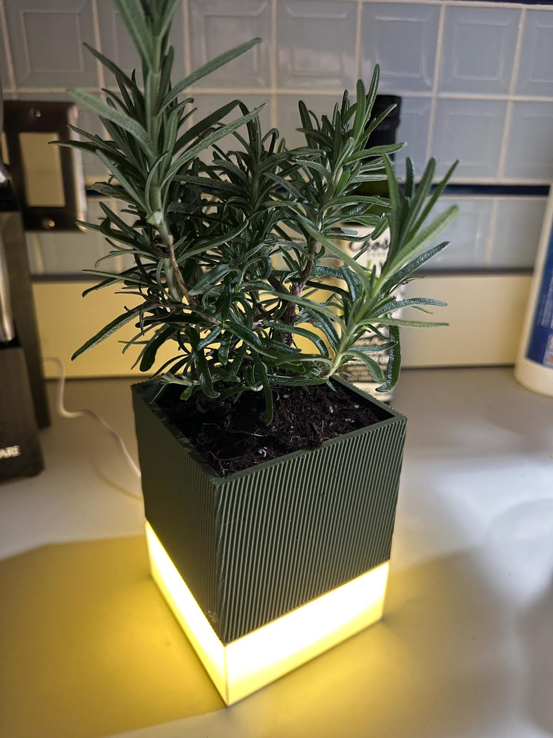 Modern Planter Lamp – 2-in-1 Decorative Plant Pot With Built-in Light ...