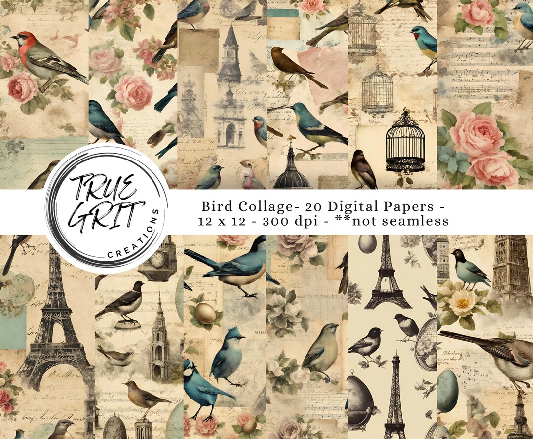Vintage Bird Digital Paper Pack: Antique Avian Designs (PNG & PDF) - Etsy