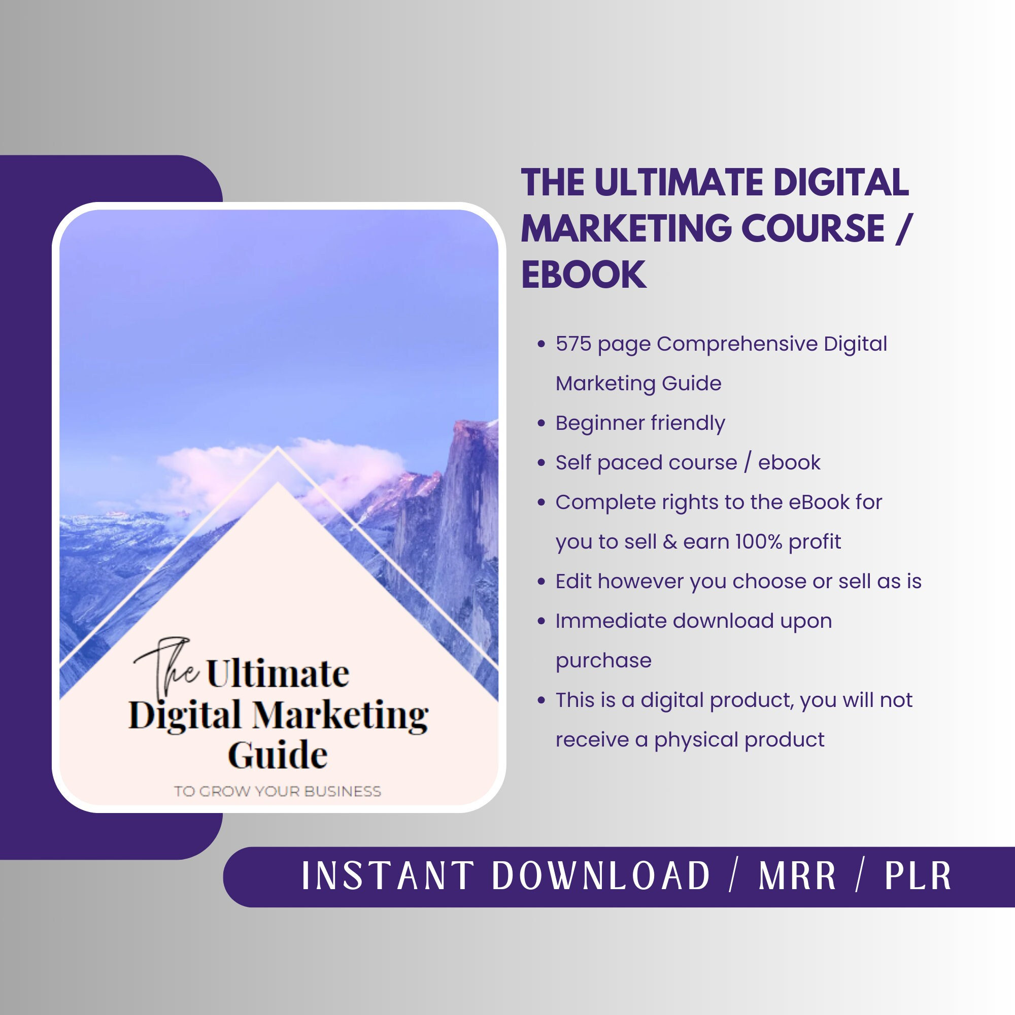 Digital Marketing Guide Bundle: 575-page Ebook With Resell Rights ...