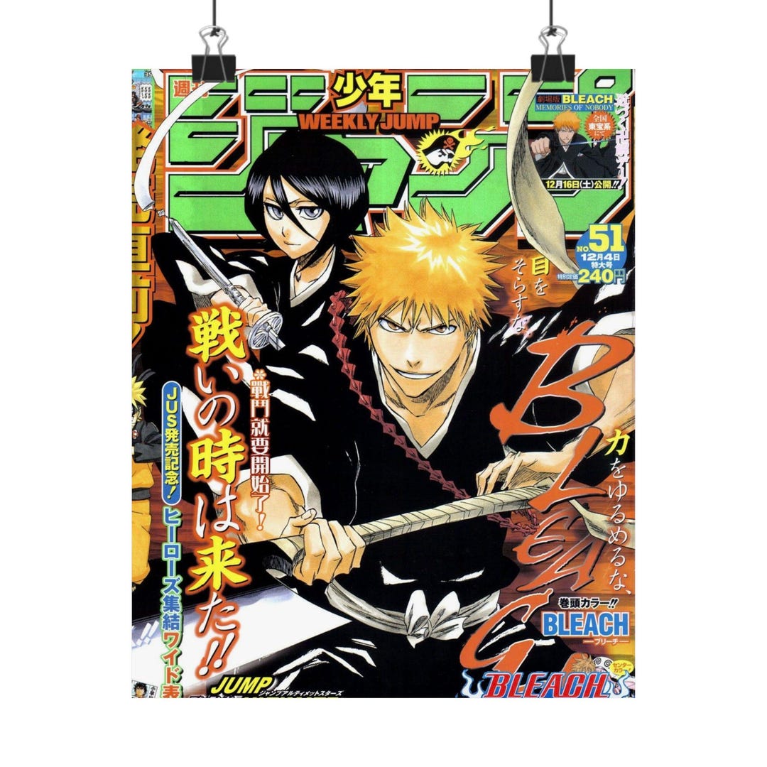 Bleach Ichigo and Rukia Matte Poster | Anime Manga Wall Art - Etsy