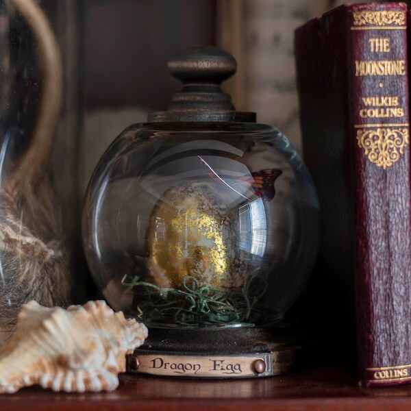 Faux Taxidermy - Etsy