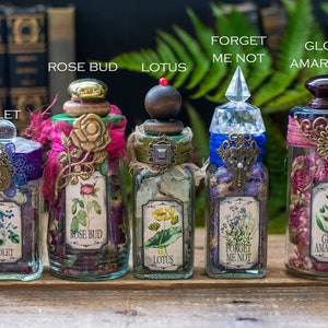 Botanical Specimen Apothecary Jars, Flower Potion Bottles, Botanical ...