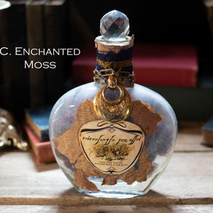 Extra Large Magic Potion Bottles Magic Potions Altered - Etsy