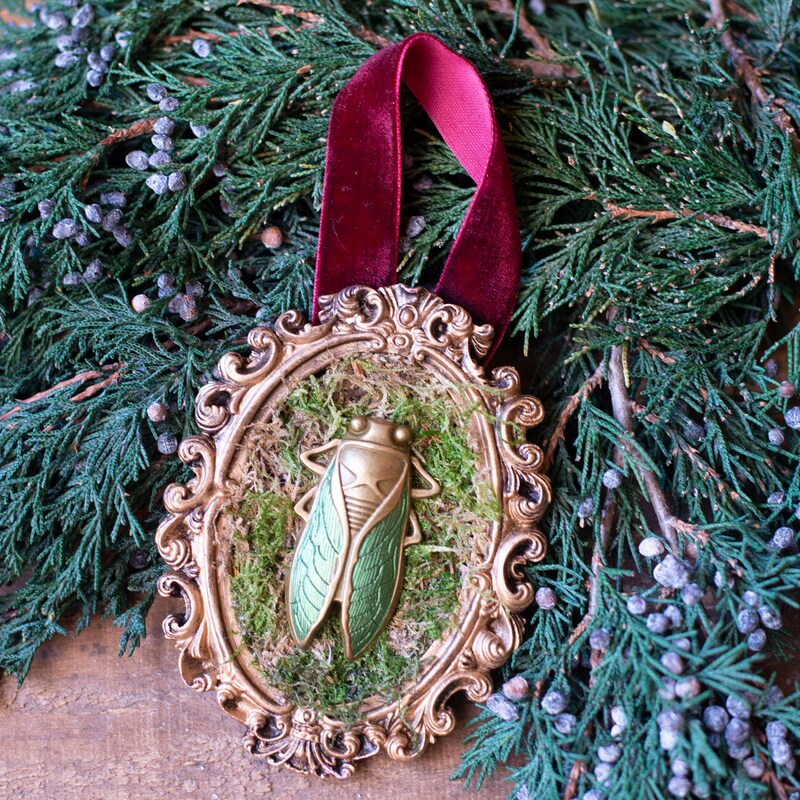 Insect Ornament - Etsy