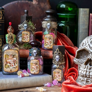Forest Witch Potions, Cursed Candies Potion, Halloween Potion Bottle ...