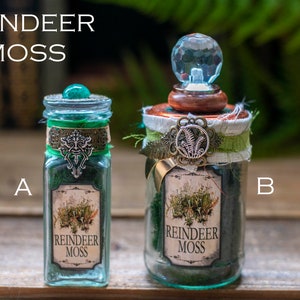 Botanical Specimen Apothecary Jars, Flower Potion Bottles, Collectable ...