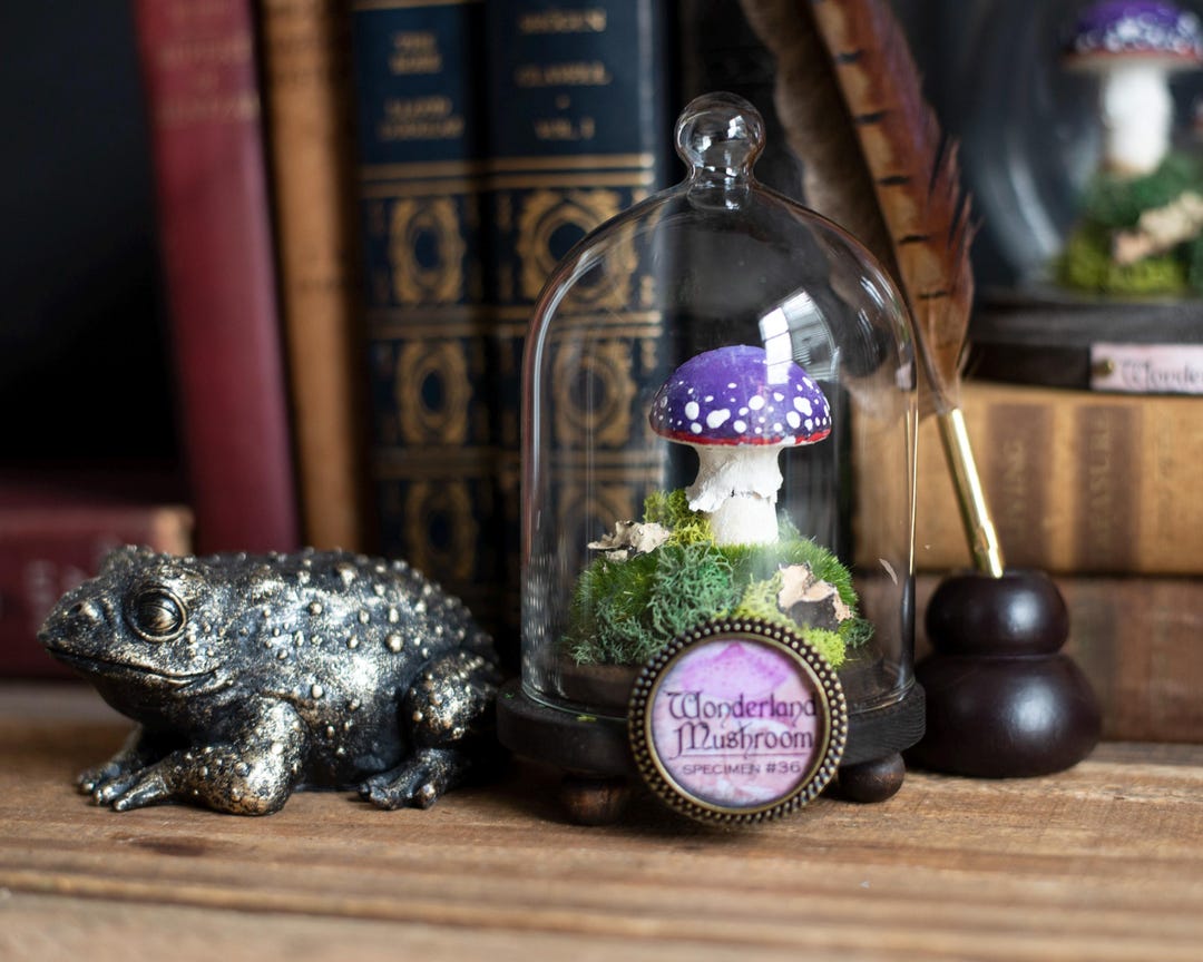 Wonderland Mushroom Specimen | Fantasy Terrarium With Handcrafted Faux ...