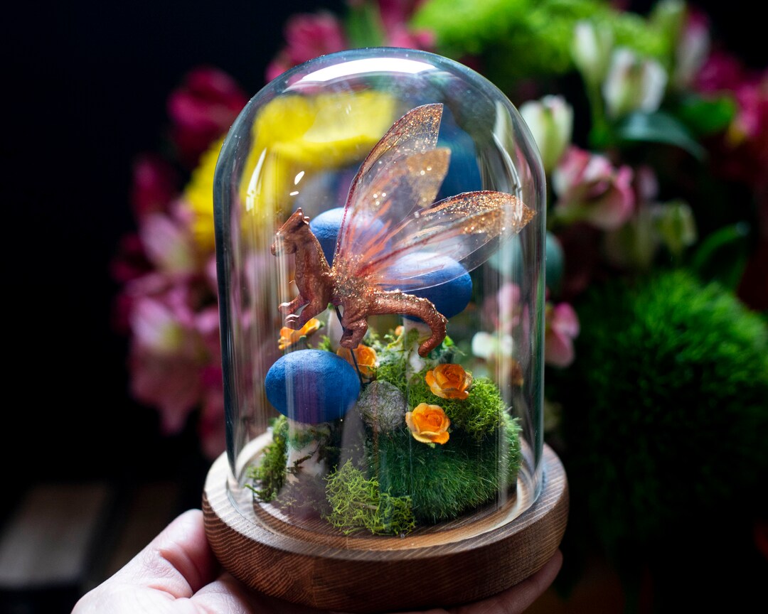 Wonderland Dragonfly Specimen, Dark Academia, Mushroom Terrarium ...