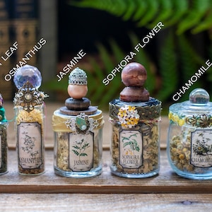 Botanical Specimen Apothecary Jars, Flower Potion Bottles, Botanical ...