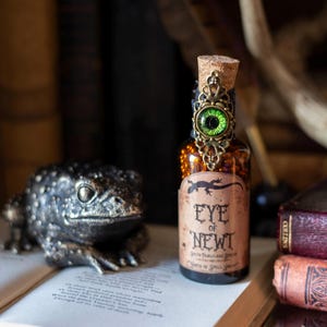 Eye of Newt Potion, Witch Potion Bottle, Halloween Decor, Bookcase ...