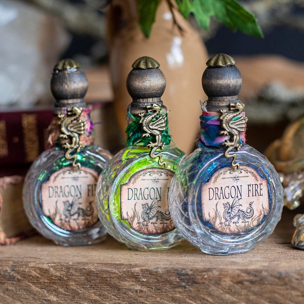 Dragon Bookcase Decor - Etsy