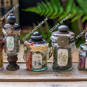 Botanical Specimen Apothecary Jars, Flower Potion Bottles, Botanical ...