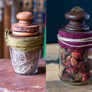 Botanical Specimen Apothecary Jars, Flower Potion Bottles, Botanical ...