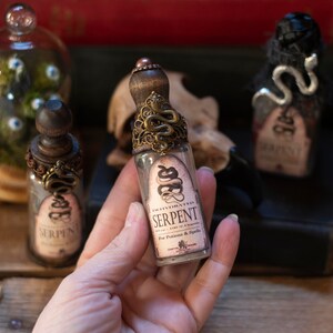 Serpent Potion Bottle, Wizard Potion, Witch Potion, Wizard School ...