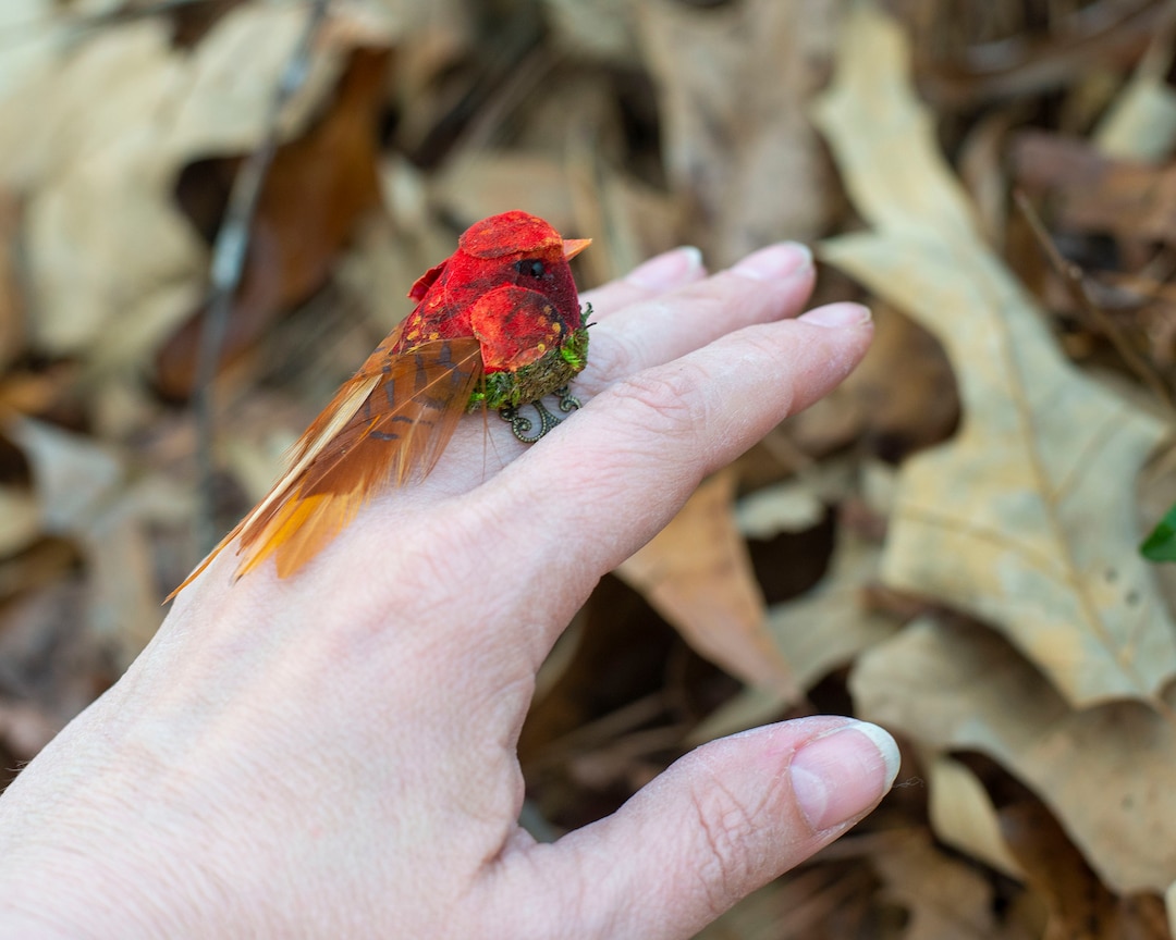 Hand Painted Bird Ring, Birds Nest Ring, Woodland Fairy Ring, Bird ...