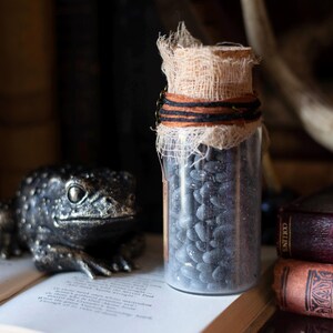 Eye of Newt Potion, Witch Potion Bottle, Halloween Decor, Bookcase ...