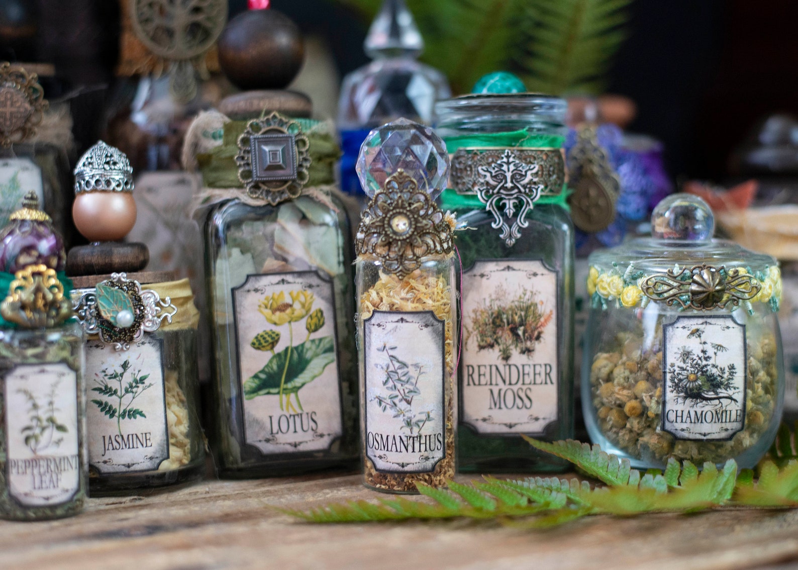 Botanical Specimen Apothecary Jars, Flower Potion Bottles, Botanical ...