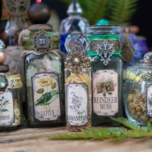 Botanical Specimen Apothecary Jars, Flower Potion Bottles, Botanical ...