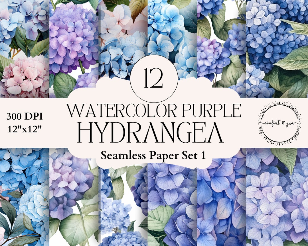 Purple Hydrangea Floral Watercolor Papers, Botanical Images for Card ...
