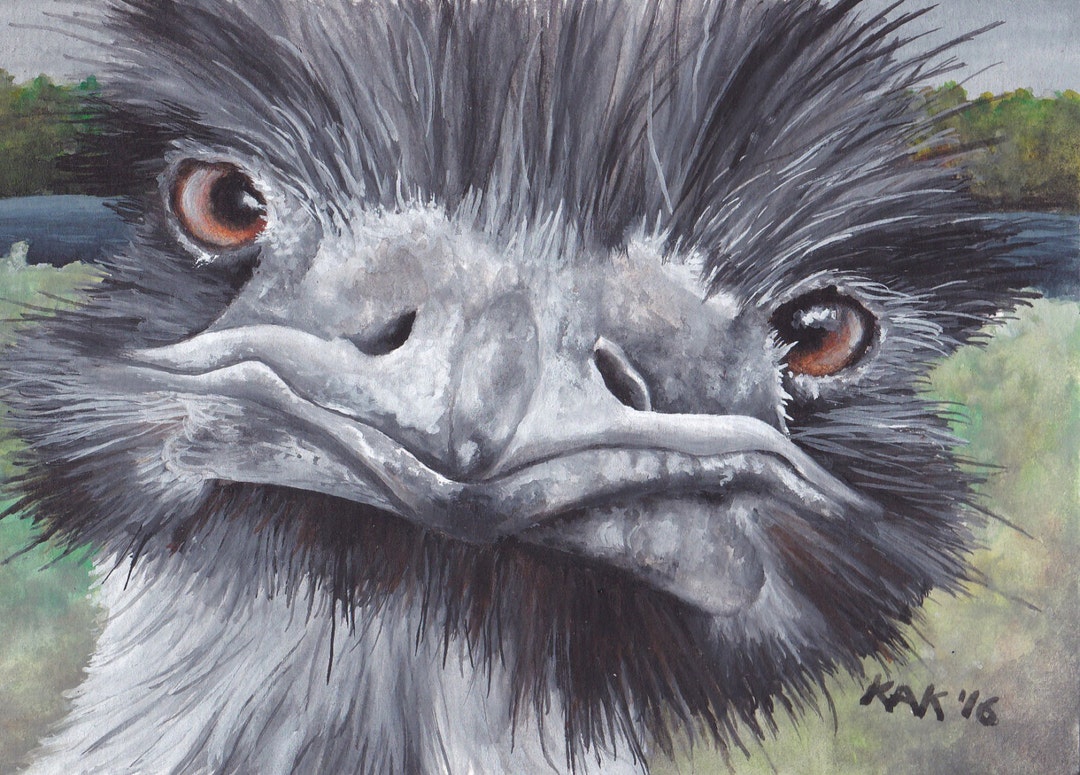 Limited Edition Print of Ostrich Watercolor Painting - Etsy
