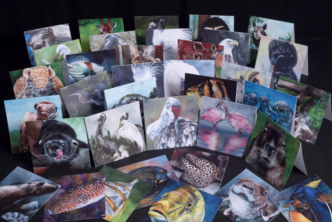 Greeting Cards: Packs of 12 - Etsy