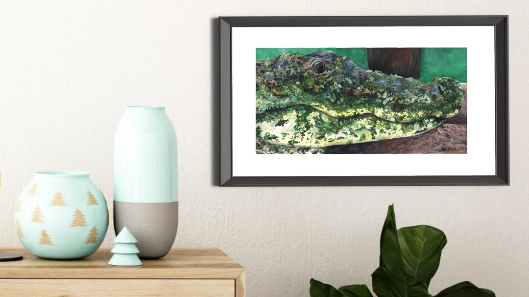 Alligator in Algae Painting - Matted Print - Etsy