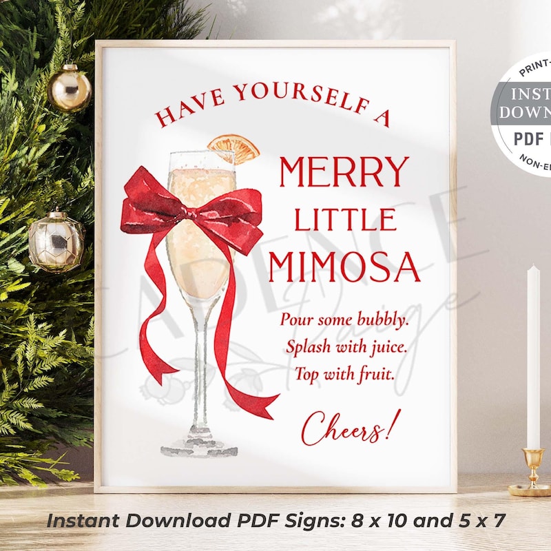 Supplies for a Mimosa Bar - Etsy