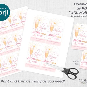 Mimosa Mother's Day Gift Tag, Mom-osa Gift Tag for Mom Friends, Fun ...