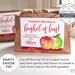Apple Birthday Party Favor, Apple First Birthday Party, Apple 1st ...