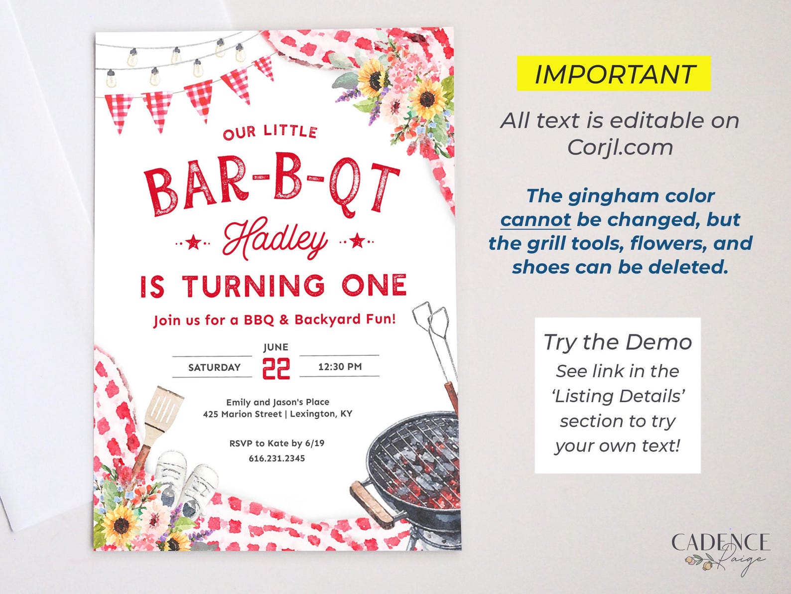 First Birthday BBQ Invitation, 1st Birthday BBQ Party Text Invitation ...