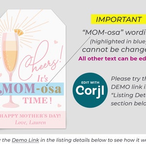 Mimosa Mother's Day Gift Tag, Mom-osa Gift Tag for Mom Friends, Fun ...