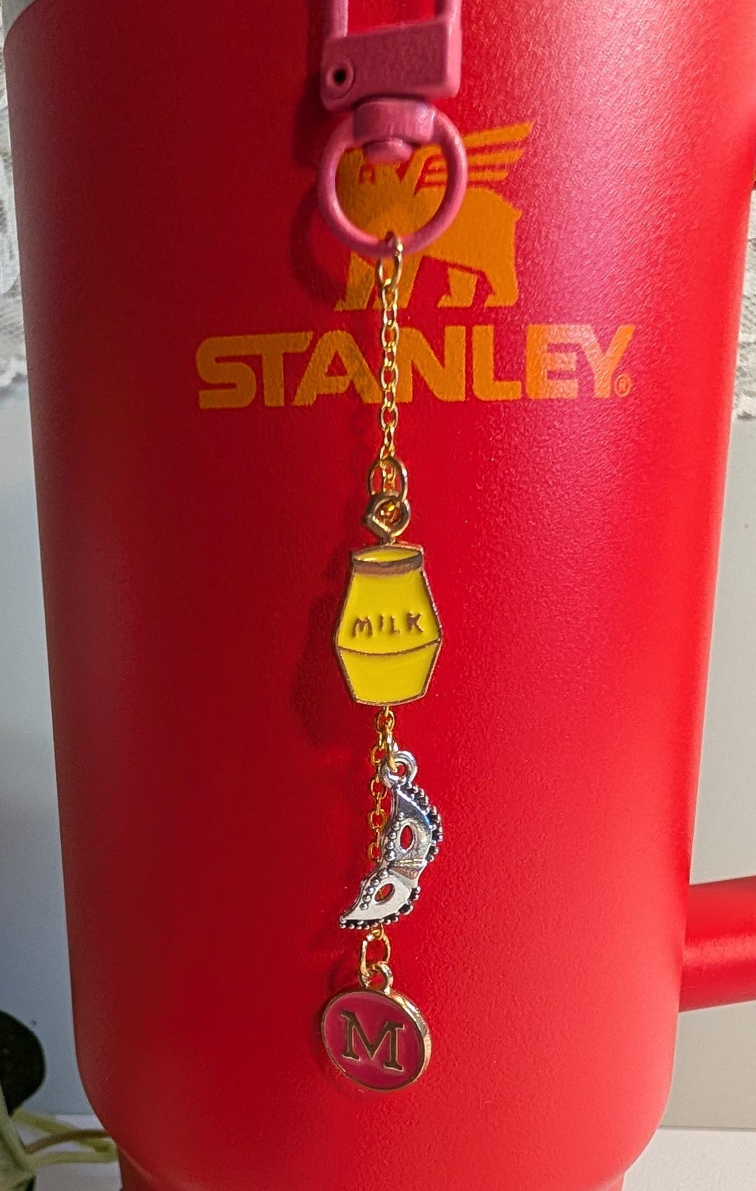 Straw Charm Clips: Stanley Tumbler Decoration (set of 2) - Etsy