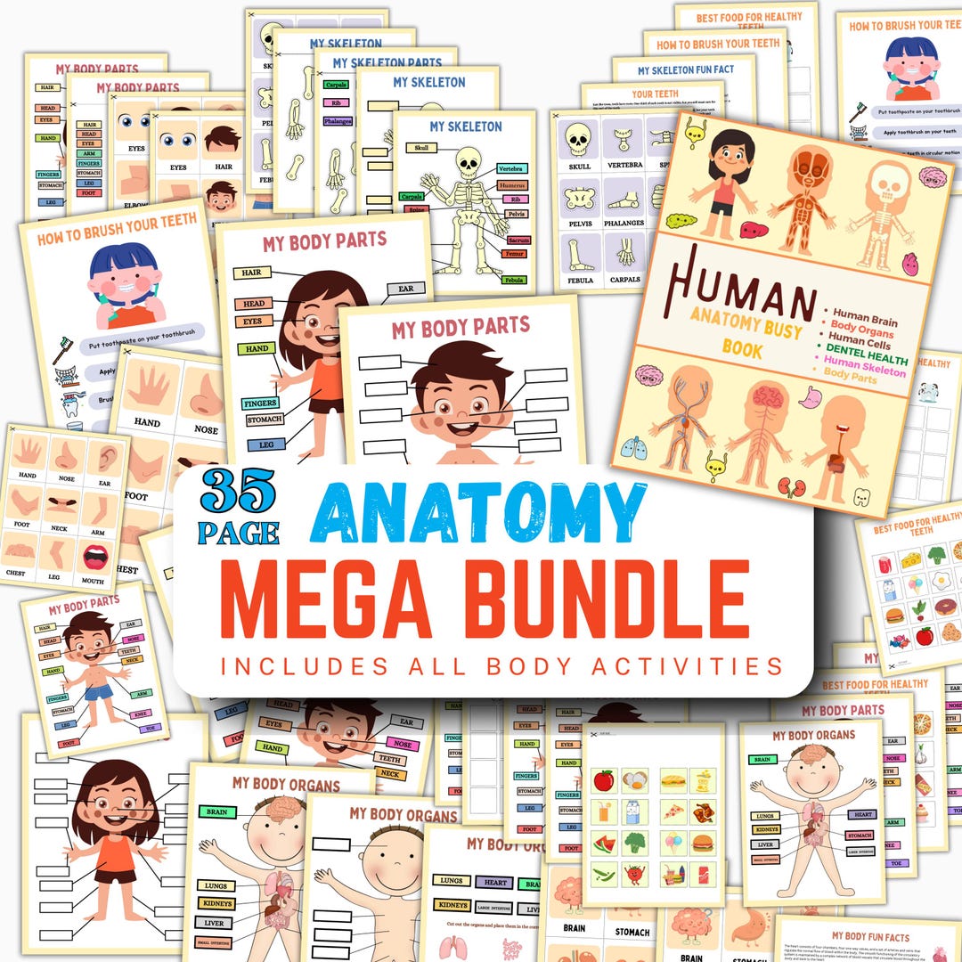 Kids Anatomy Activity Book | Homeschool Printable Workbook (PDF) - Etsy