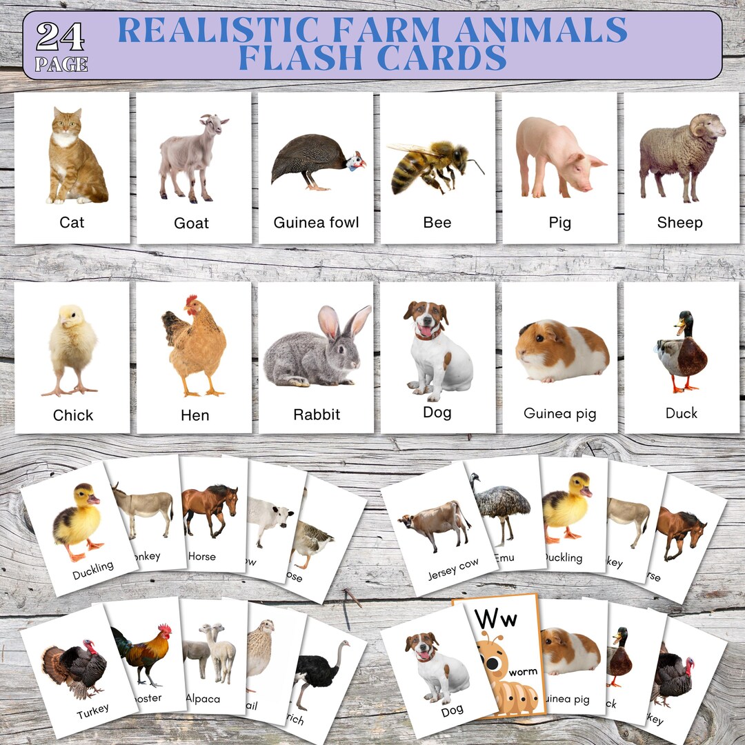 Tarjetas didácticas de animales de granja realistas, set educativo ...