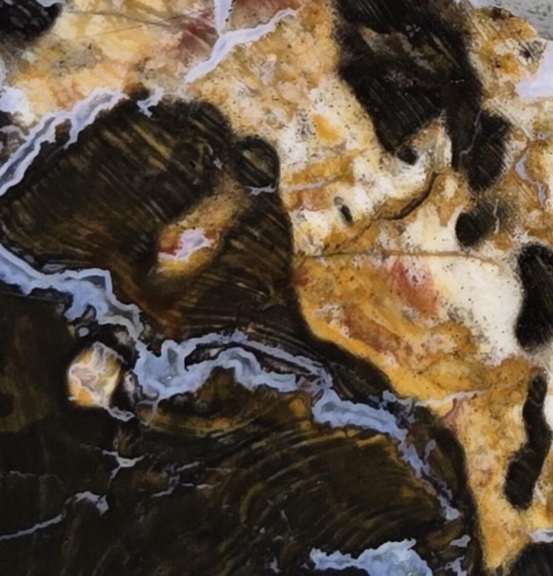 Colorful Ohio Flint Slab RS1146 - Etsy