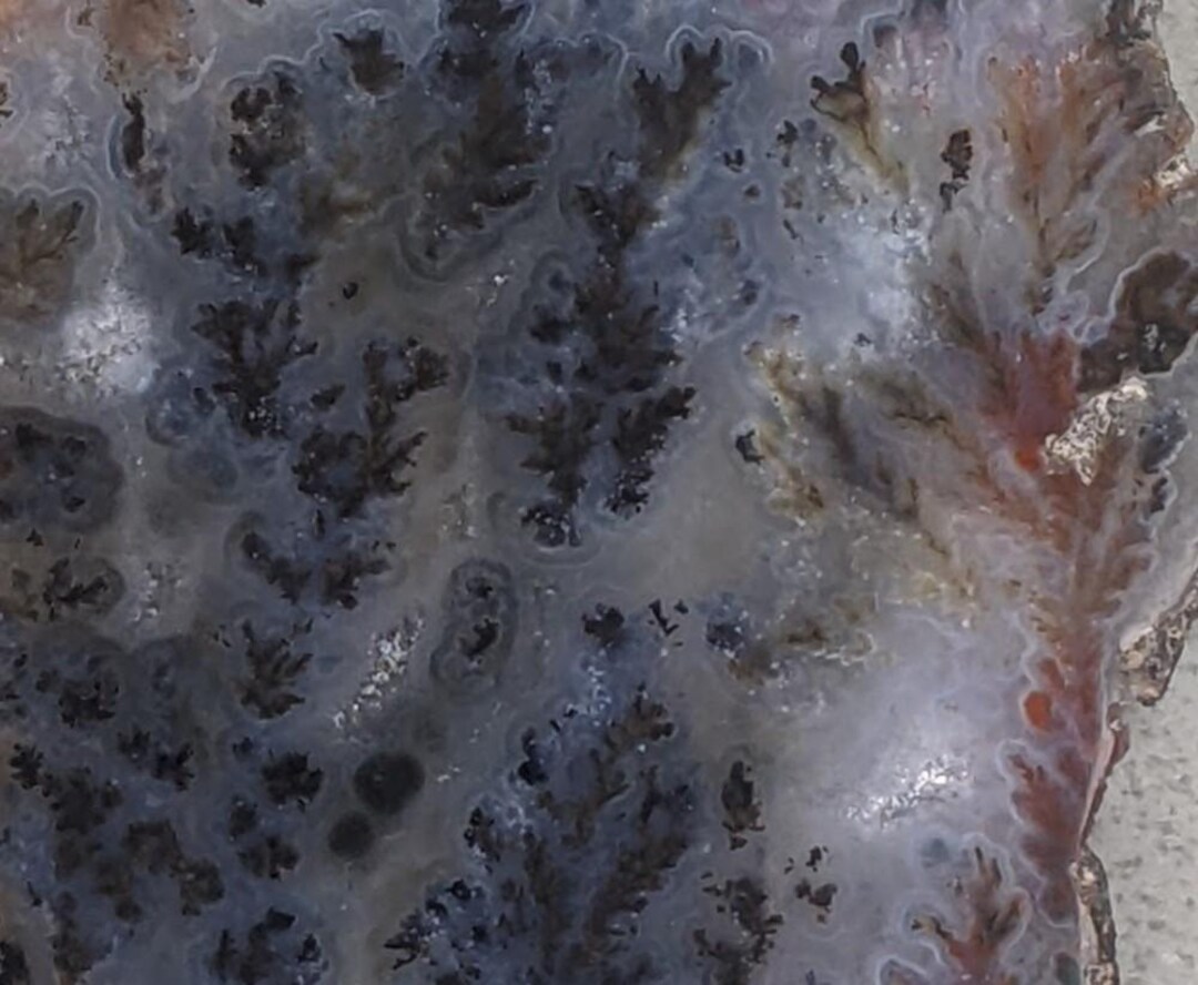 Stunning Polished Angel Wing Plume Agate Slab PS344 - Etsy