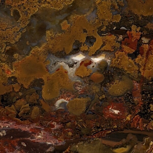 Coprolite - Etsy