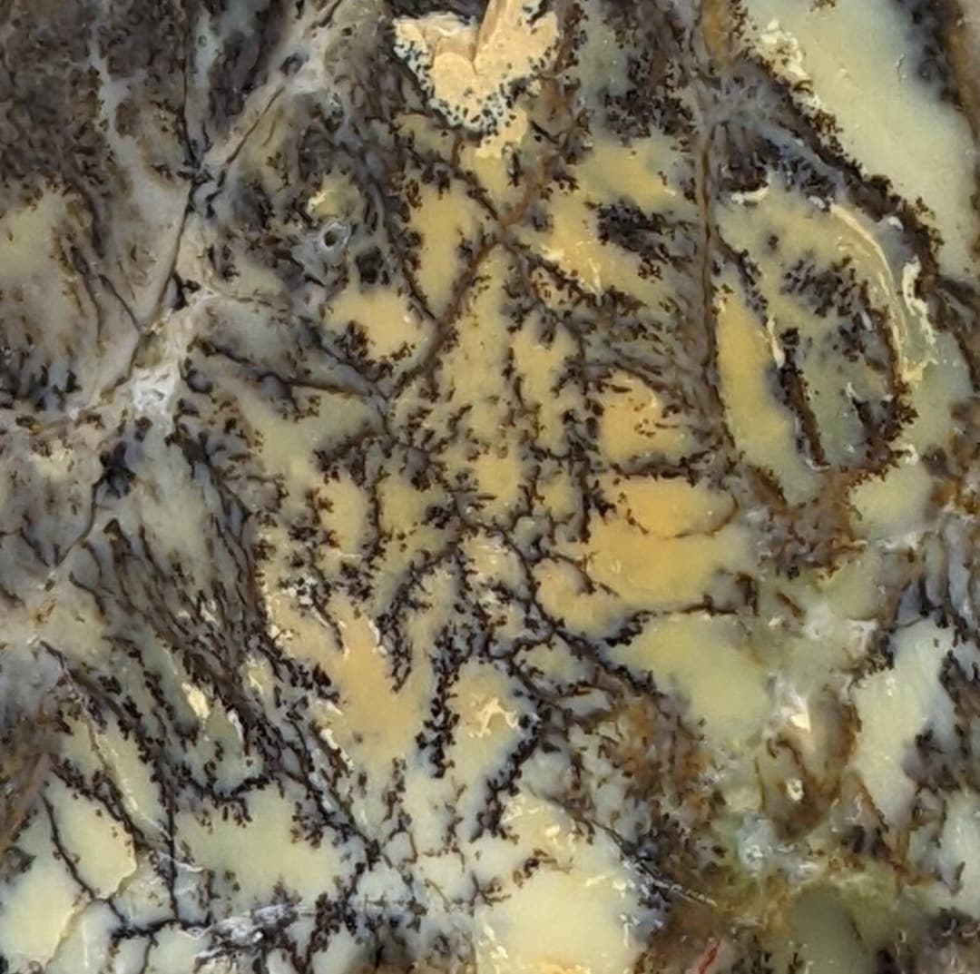 Dendritic Opal Slab RS951 - Etsy