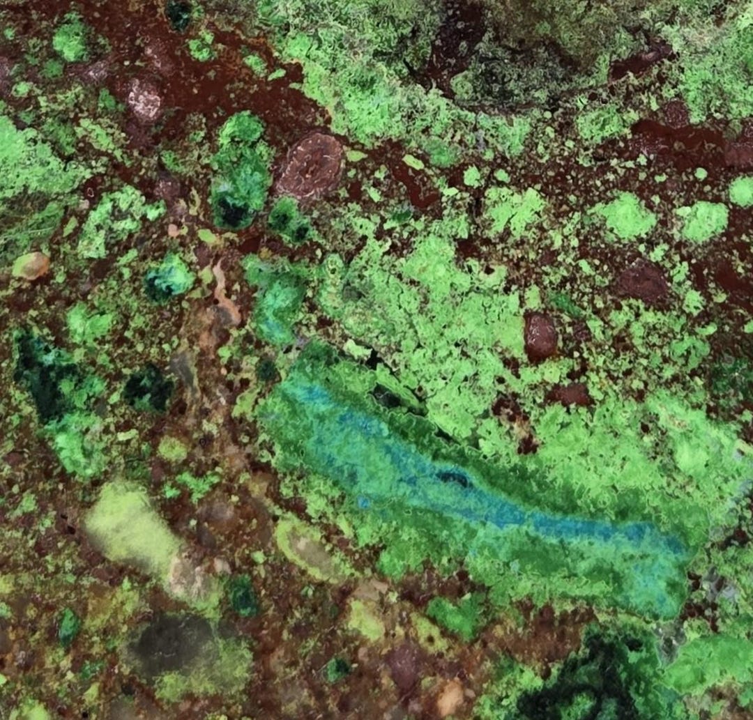 Colors! Parrot Wing Jasper Slab RS1478 - Etsy