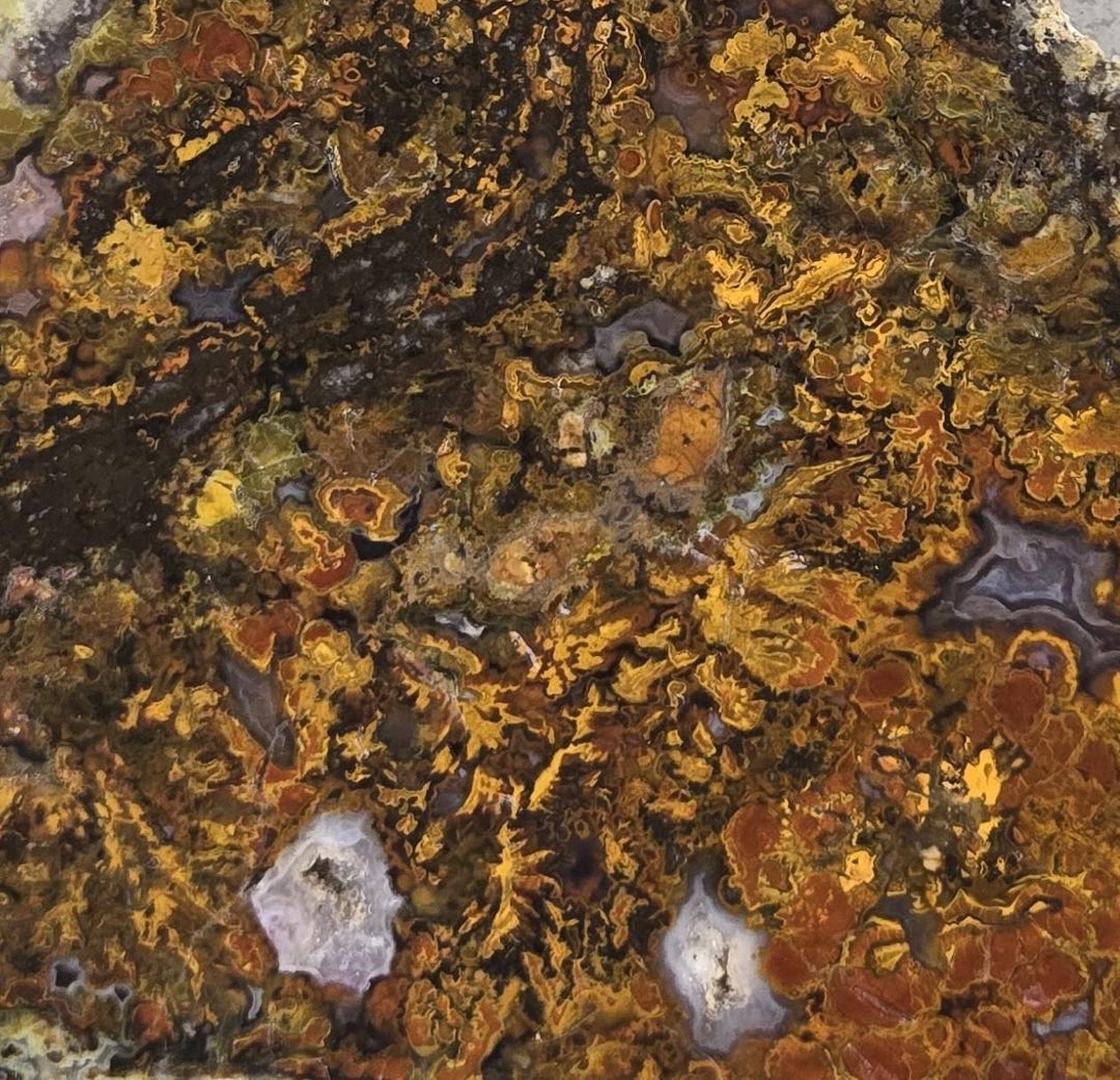 Colorful Texas Flower Jasper Slab RS1186 - Etsy