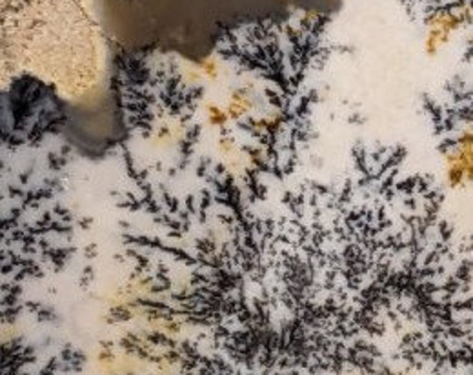 Spanish Point Dendritic Agate Slab RS596 - Etsy