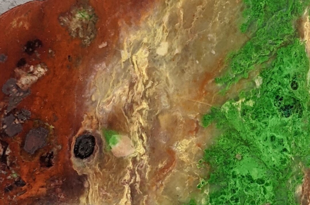 Colors Parrot Wing Jasper Slab RS1001 - Etsy