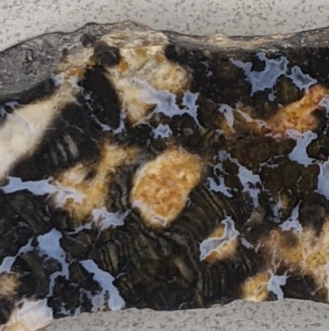 Colorful Ohio Flint Slab RS915 - Etsy