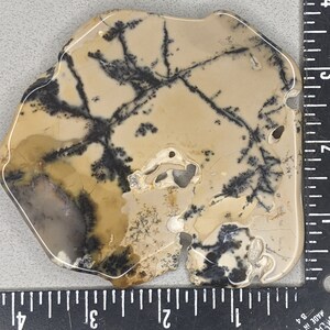Sonoran Dendritic Jasper Polished Slab PS334 - Etsy