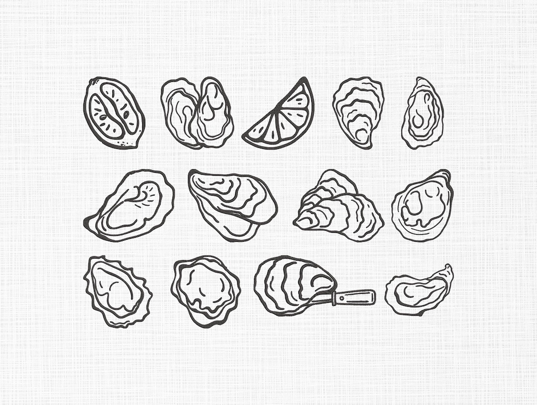 Oyster Shell Line Art Embroidery Design, 6 Sizes (digital Download) - Etsy